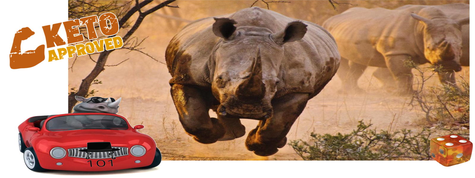 Rhino Run | Yiddishkeit 101™